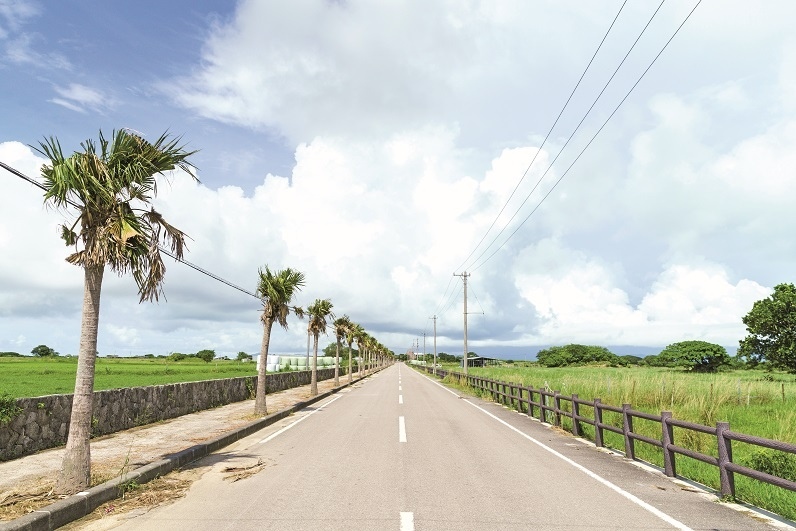 沖縄県道213号黒島港線 | 人気スポット | 沖縄たけとみ島時間